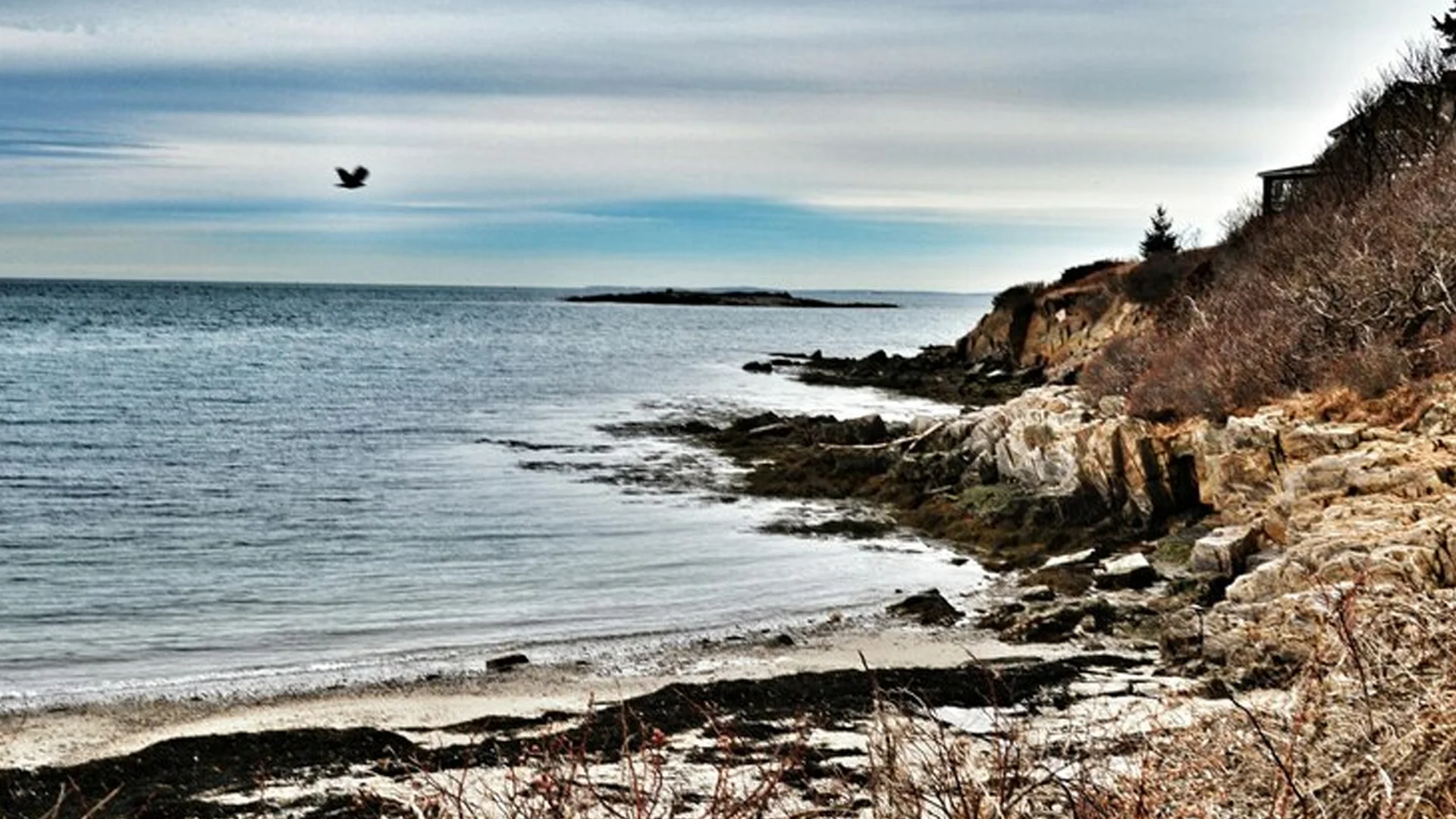 Ultimate Deals: Explore Dealsea For Unbeatable Savings!