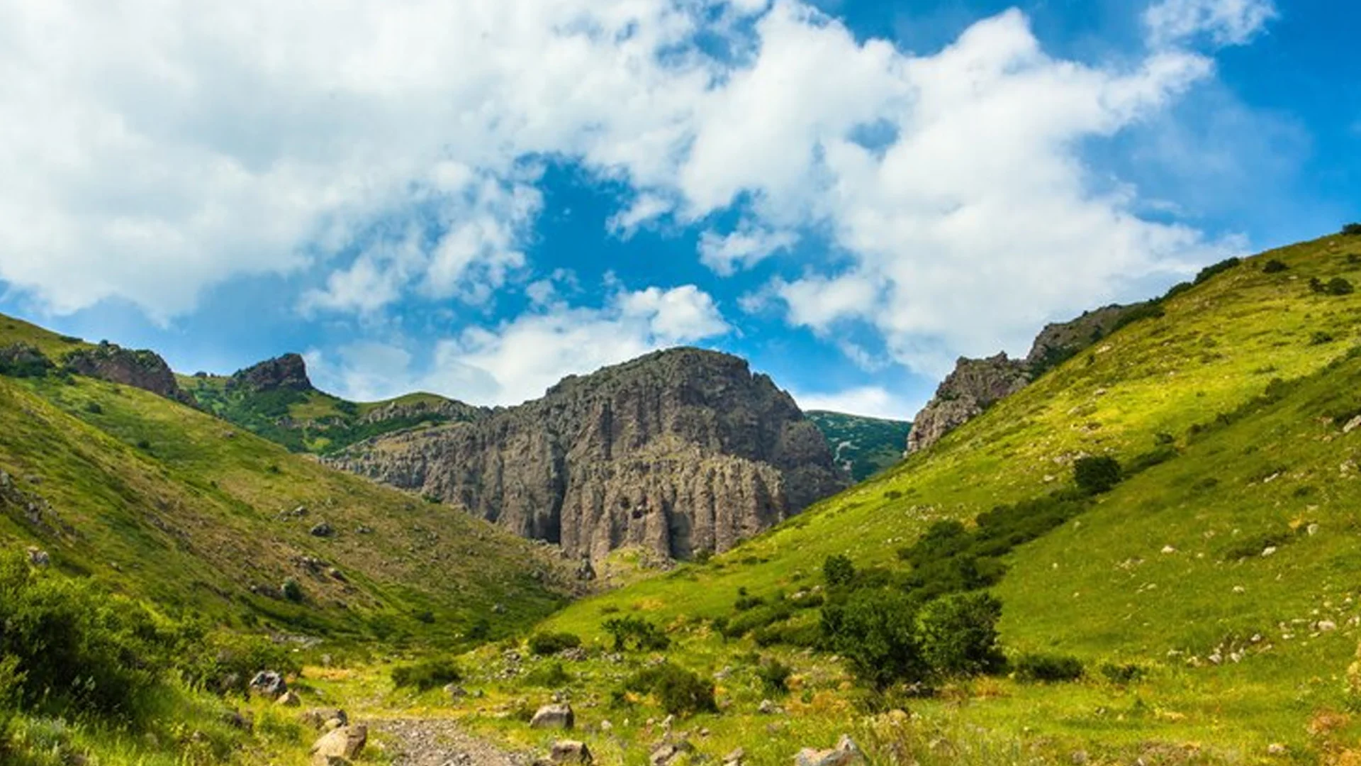 Kiamichi Mountains Adventure: Hiking Wildlife And Scenic Views