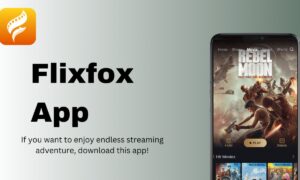 Flixfox App for Android: Your Guide to Free Streaming - classprayer