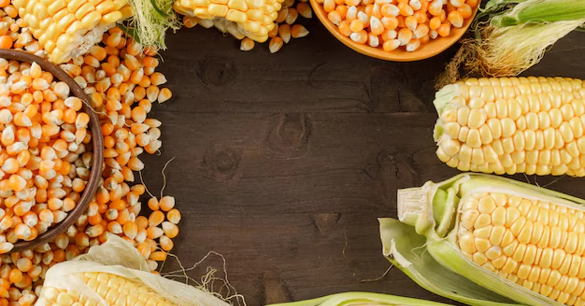 FPO Corn Varieties: Advantages For Modern Agriculture